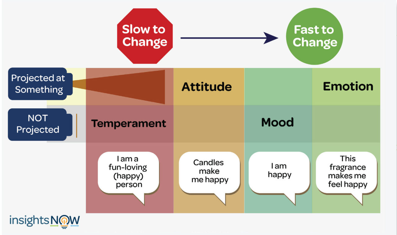 Defining Consumer Emotions for Market Research
